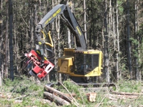 G & J Groves Pty Ltd : Forest Contractors